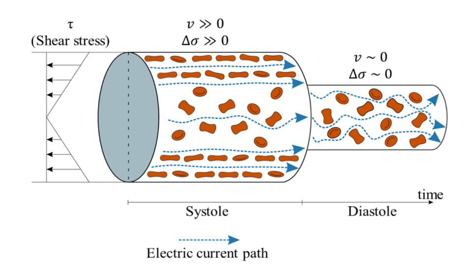 Ifl Numerical Simulation Of Electrically Conducting Fluid Flow Using 1569