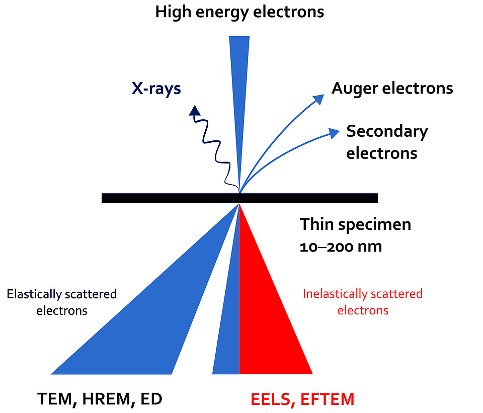 FELMI - Nanoanalysis of Materials