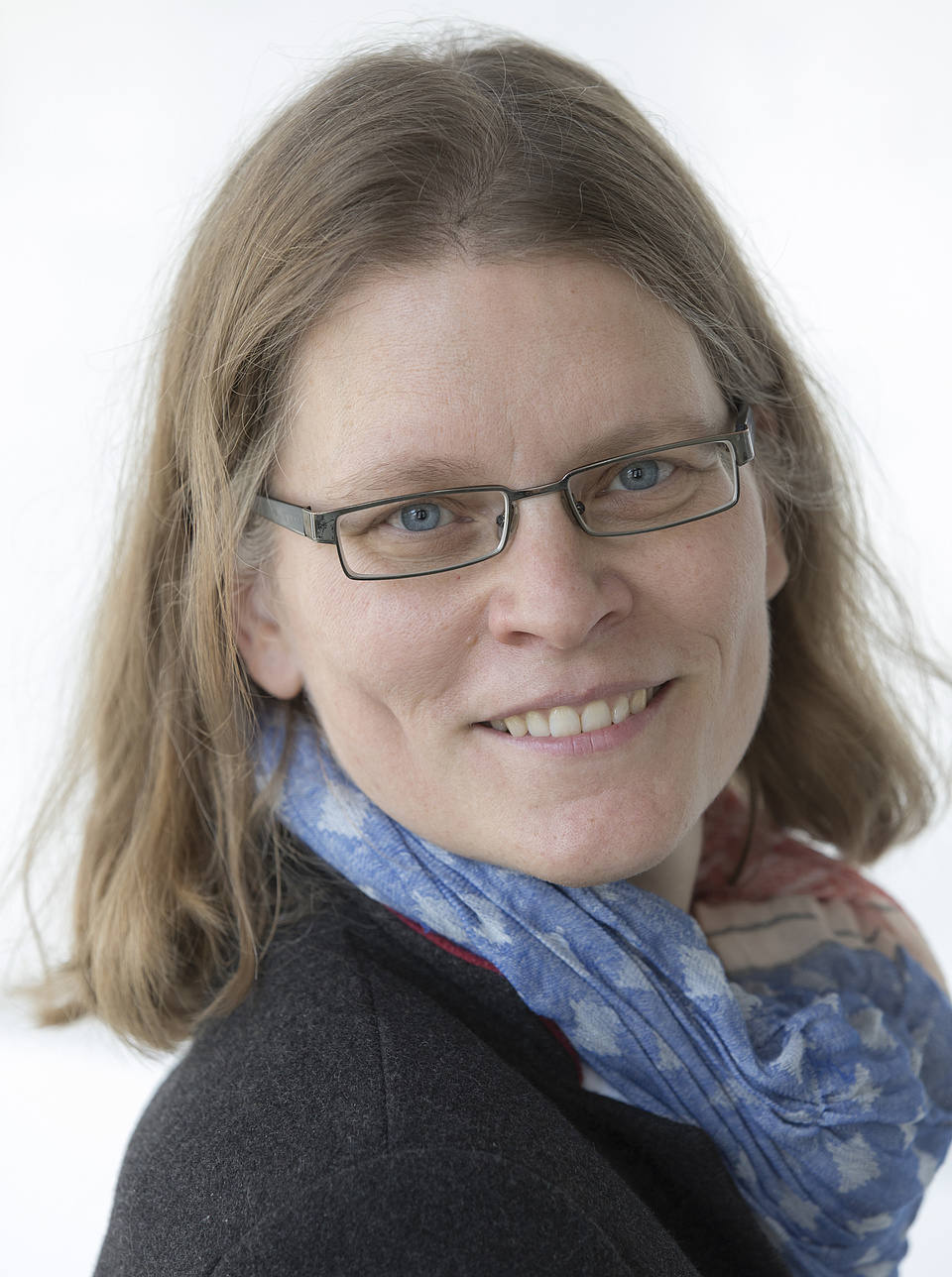 Biomechaorta - Key Researcher