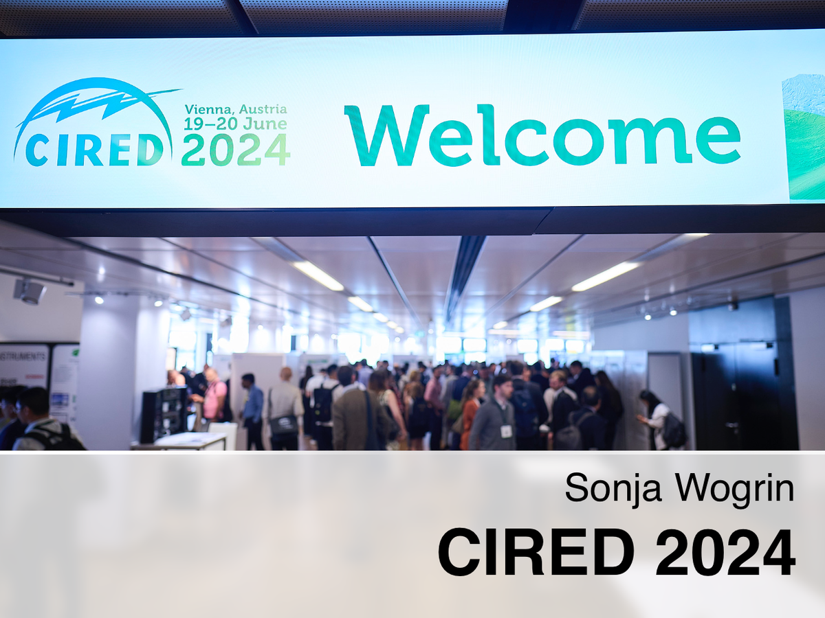 CIRED Vienna Workshops 2024