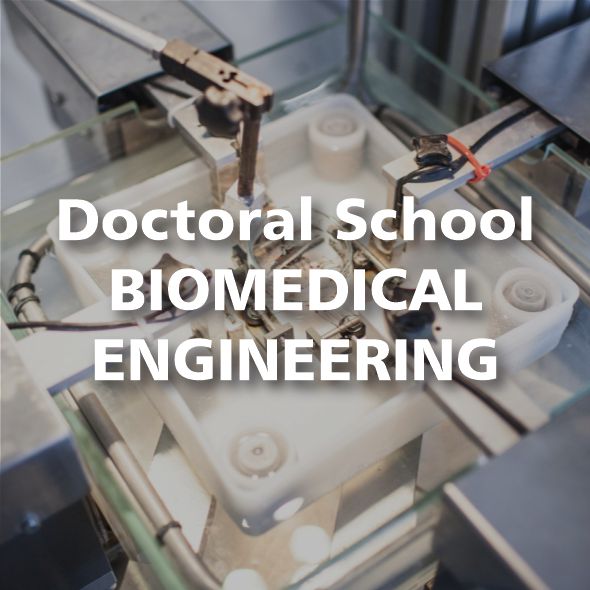 CSBME - Doctorate / PhD