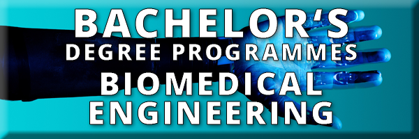 CSBME - Bachelor programmes
