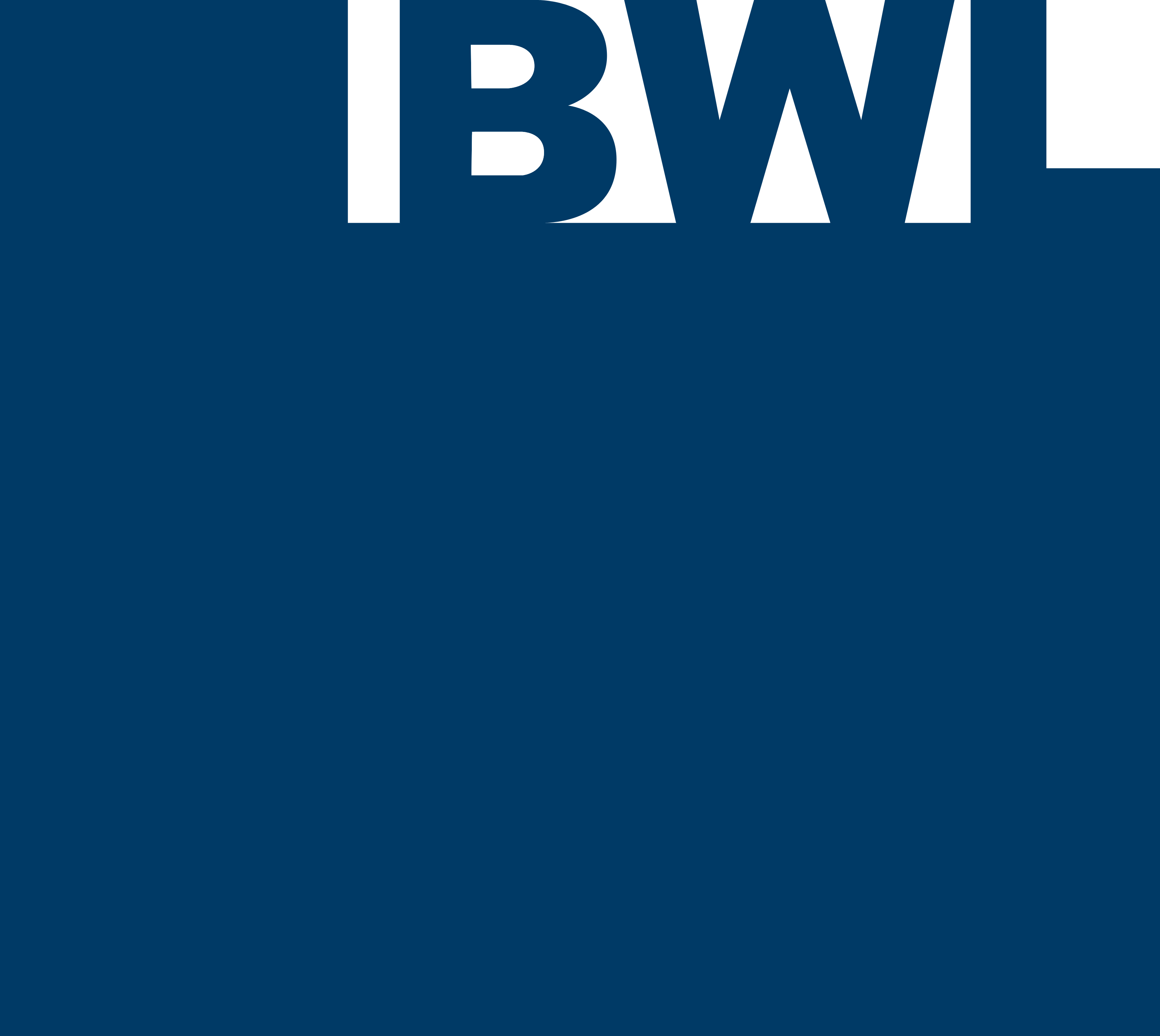 BWL - Downloads