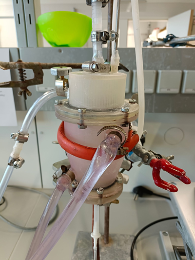 IPPE - Student Projects